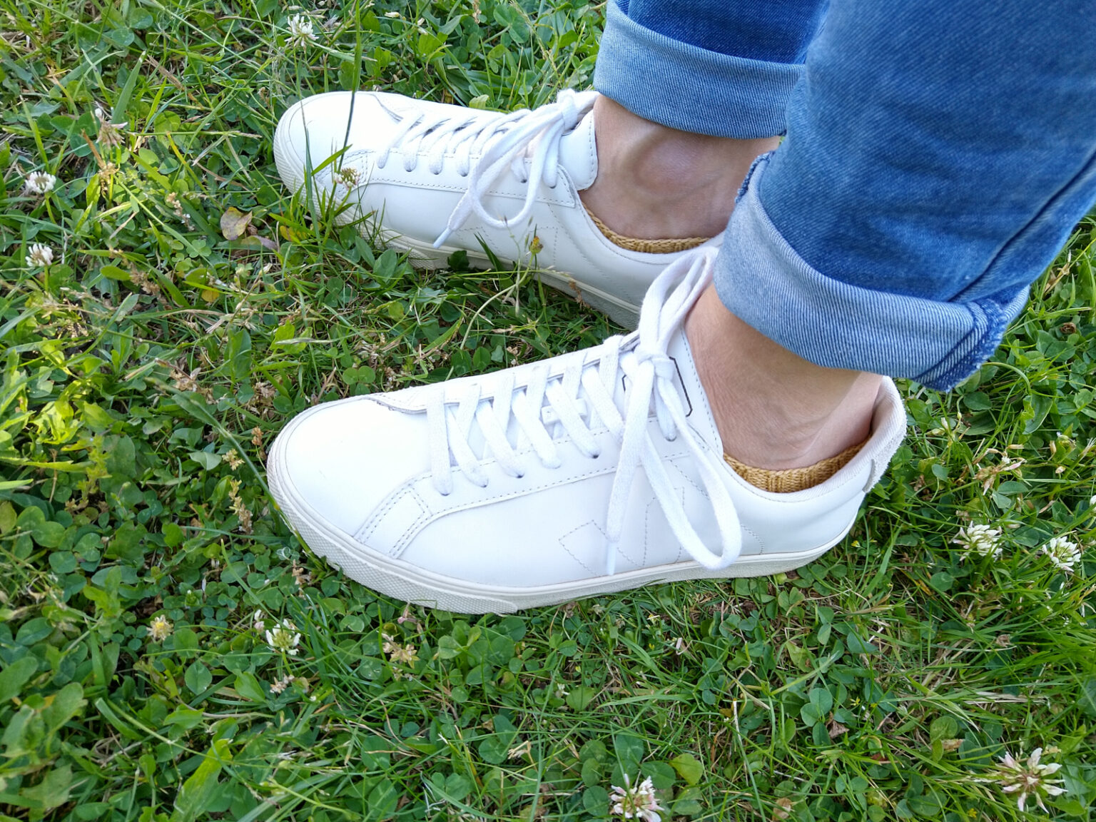 Tabbies en français – strands of life